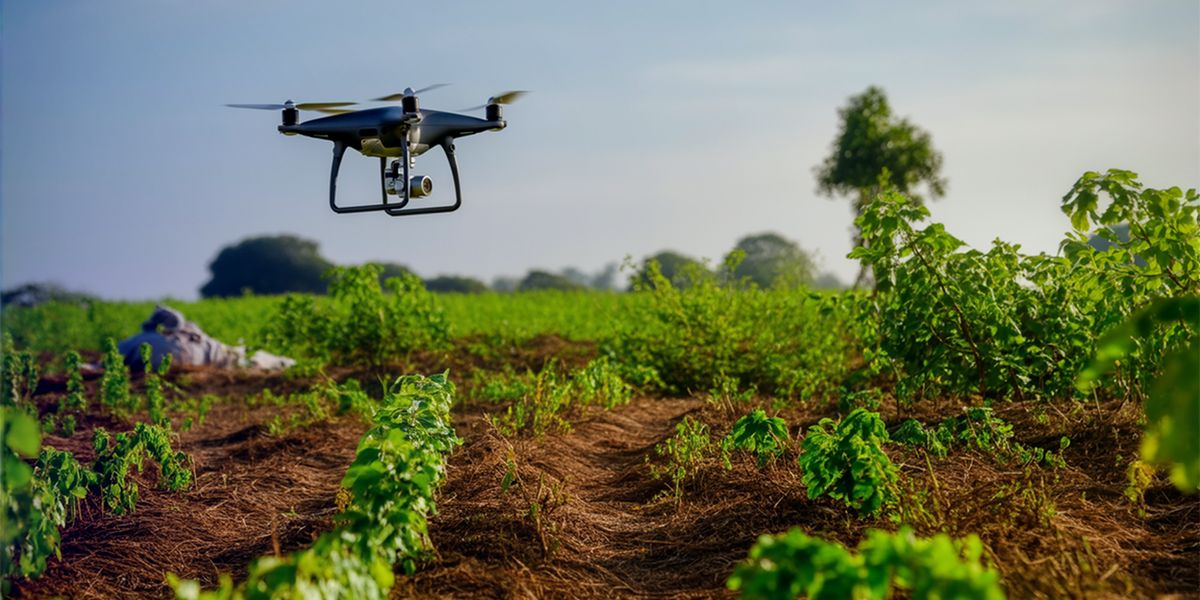 Diversity Farming - Onefarm